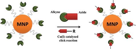 Example Of Cui Catalyzed Azidealkyne Click Chemistry For Magnetic Download Scientific
