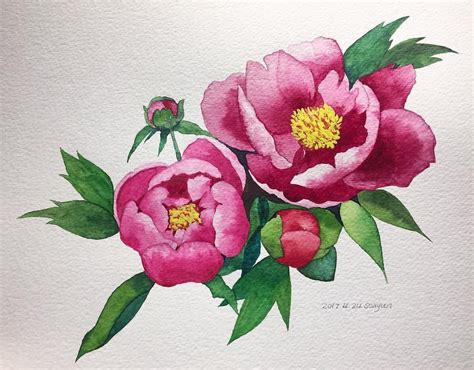 오늘도 작약사랑💕 작약 그리기 꽃 그림 꽃그림 수채화 감성수채화 수채일러스트 수채화일러스트 물맛 힐링 취미 일러스트 Illust