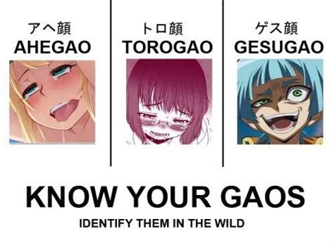 Ahegao Face Meaning Telegraph