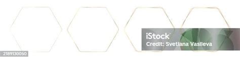 우아한 골드 얇은 선형 육각 프레임 세트 인증서 초대장 브랜딩 장식 요소 벡터 일러스트 레이 션 0명에 대한 스톡 벡터 아트 및 기타 이미지 Istock