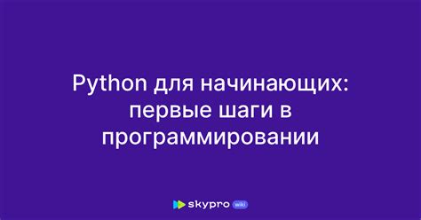Python для начинающих: первые шаги в программировании