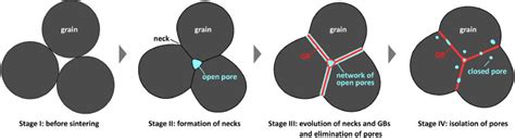 Schematic Diagrams Of Stages In Solid State Self Sintering Stage I