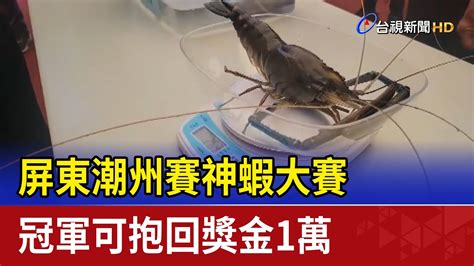 屏東潮州賽神蝦大賽冠軍可抱回獎金1萬 Youtube