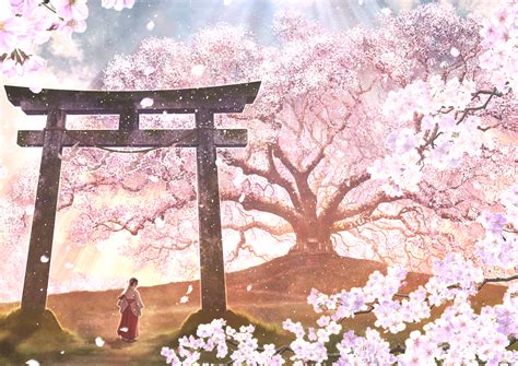 Cherry Blossom Tree Anime  X Wallpaper Teahub Io My Xxx Hot Girl