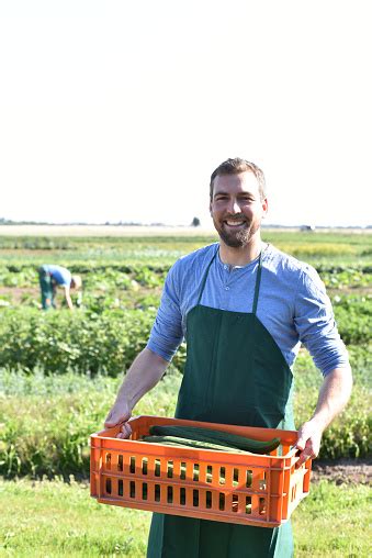 농업에서 일 하는 정원사밭과 온실에서 재배 및 수확 야채 구름에 대한 스톡 사진 및 기타 이미지 구름 구름 풍경 농부