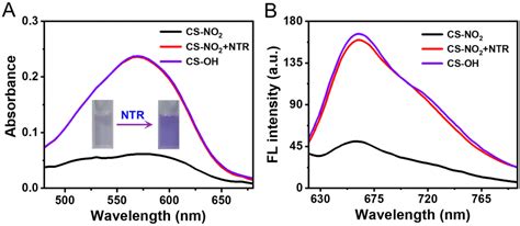 Monitoring Mitochondrial Nitroreductase Activity In Tumors And A Hind Limb Model Of Ischemia In