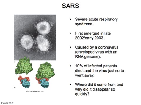 Bioterrorism Bacterial Pathogenesis Final Exam Flashcards Quizlet