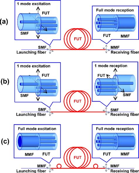 Schematics Of The Input And The Output Of Light In Download Scientific Diagram