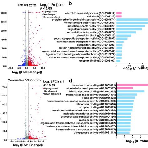 Rna Seq Analysis Showing Differentially Expressed Genes Degs In Download Scientific Diagram