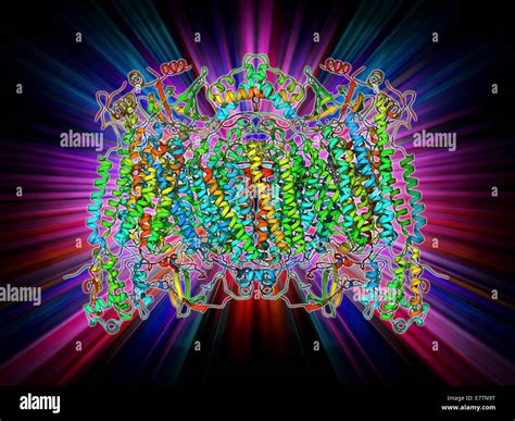 Cytochrome C Oxidase Molecular Model Of A Cytochrome C Oxidase Enzyme From The Mitochondria Of