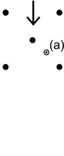 left flow through staggered arrays of emergent rigid stems