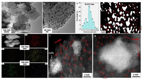 厦大孙世刚团队angew ：ceo2纳米颗粒 自由基清除剂！ 知乎