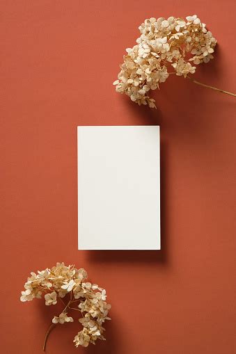 마르살라 배경에 말린 수국꽃이 있는 빈 수직 웨딩 초대장 카드 플랫 레이 상단 뷰 복사 공간 가을에 대한 스톡 사진 및 기타 이미지 Istock