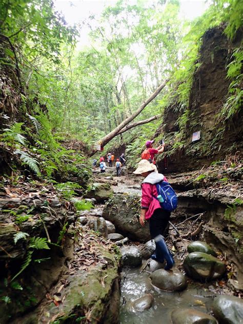 苗栗龍王峽谷 功維敍彩紅隧道 三灣落羽松 健行筆記