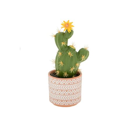 Ghiveci Cactus Cu Flori Ceramica 27 Cm Multicolor Emagro