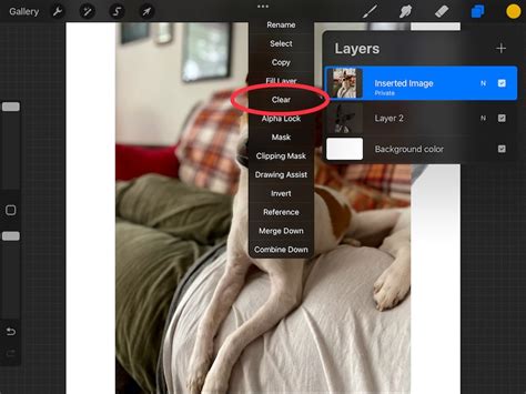 How To Hide Layers And Make Private Layers In Procreate Adventures With Art
