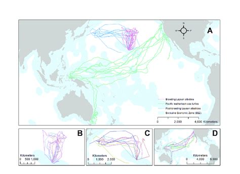 A Migratory Movement Patterns Of Leatherback Sea Turtles Dermochelys Download Scientific