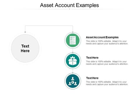 Asset Account Examples Ppt Powerpoint Presentation Slides Tips Cpb