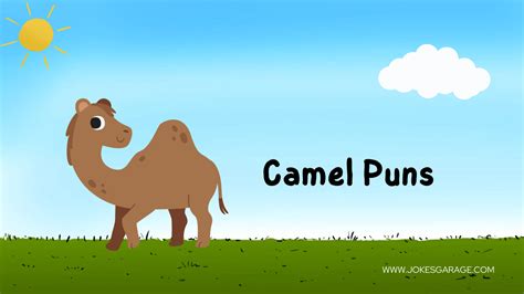 80 Cute Camel Puns Jokes Garage