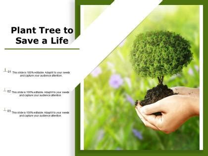 Save Trees PowerPoint Presentation And Slides PPT Slide SlideTeam