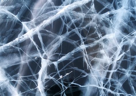 How The Brain Boosts Processing Dendritic Computation The Bioneer