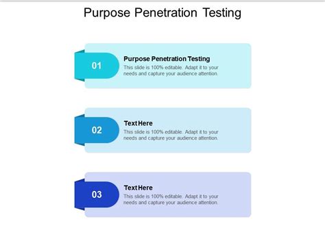 Purpose Penetration Testing Ppt Powerpoint Presentation Outline Model