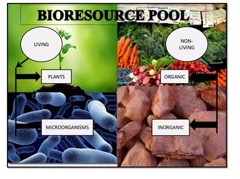 Bioresources And Uses Of Biodiversity Pptx
