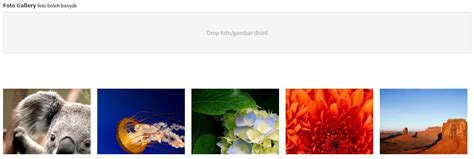 Tutorial Upload Multiple Foto Dengan Ajax Dan Codeigniter Dropzonejs Sandro Id