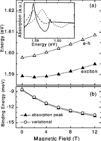 A Projection Of The Ground State Wave Function For An Download Scientific Diagram