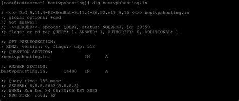 How To Find My Dns Server Ip Address In Linux Best Vps Hosting Blog1