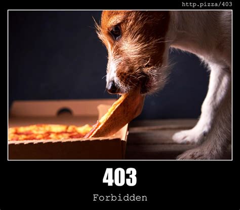 403 Forbidden Status Code And Cats