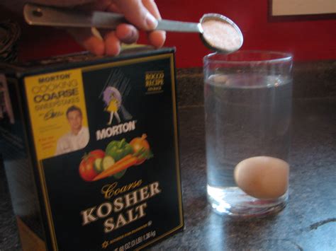 Science Matters Density Float An Egg