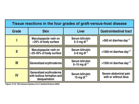 Ppt Lecture 10 Thymocyte Selection Ii Powerpoint Presentation Free