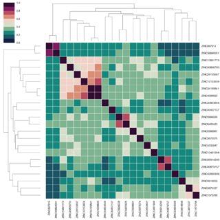 Correlation Clustering Heatmap For Screening Compounds Download Scientific Diagram