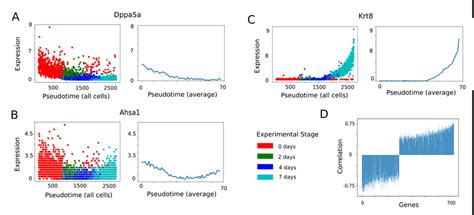 Analysis Of Embryonic Stem Cell Differentiation Gene Expression