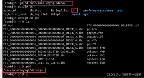 Mysql备份与恢复 Csdn博客