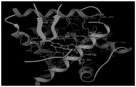 Ganoderma Lucidum Component Gl 1 And Application Thereof To Aspect Of Estrogen Replacement