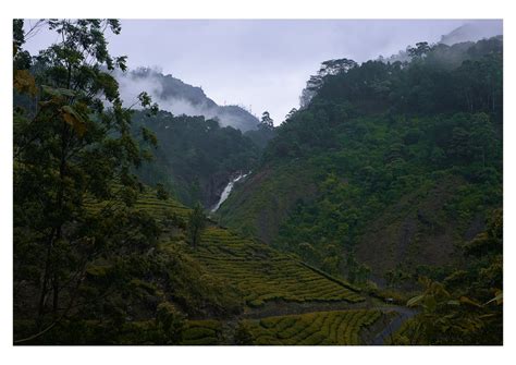 Dscf2800 Nipam S Flickr