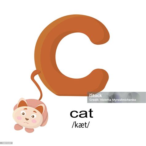 고양이와 문자 C의 일러스트 0명에 대한 스톡 벡터 아트 및 기타 이미지 0명 공부 교사 교육 관련 직업 Istock