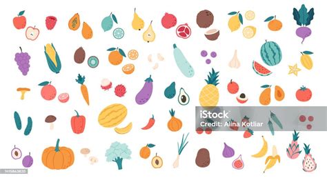 과일 야채 열매 버섯 콩 열대 및 이국적인 과일의 큰 세트 건강 식품 영양학 제품 신선한 비타민 식료품 손으로 그린 벡터 일러스트 레이 션 가을에 대한 스톡 벡터 아트 및