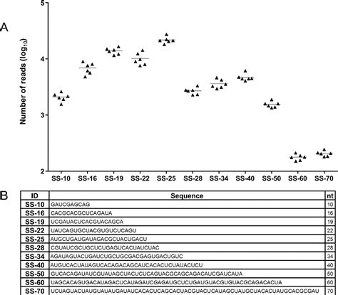 Figure 1 From Improving Small Rna Seq By Using A Synthetic Spike In Set For Size Range Quality