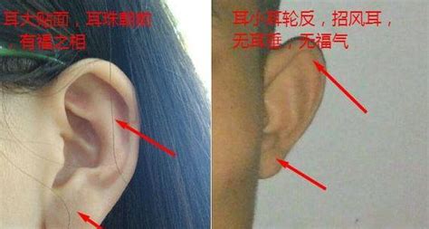 耳朵上这个地方有毫毛主长寿30岁以后有横财