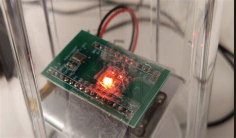 Take Flight With Feather Entries Pewpew Wing And Poe Featherwing