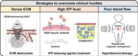 Table 1 From Perspectives For Improving The Tumor Targeting Of Nanomedicine Via The Epr Effect
