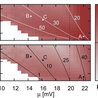 Algorithm To Embed Event Driven Neuron Model Implementations Into Our Download Scientific