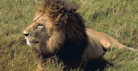 Bridget Cooley Be Cooley Twitter