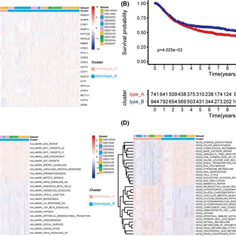 Patterns Of Rna Modification And Gsva Functional Enrichment Analysis