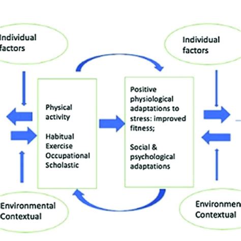 The Conceptual Model Of Physical Activity And Health [6] P 373 Download Scientific Diagram