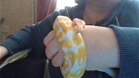 My New Boy By Artistnjc On Deviantart