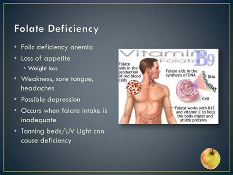 Folate Deficiency Review At Greg Howell Blog